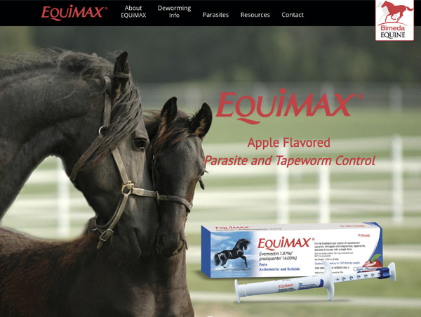 Probase Web - Portfolio