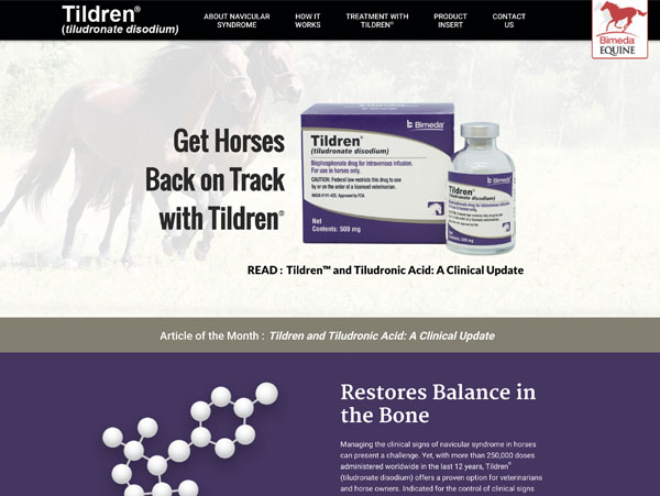Probase Web - Portfolio